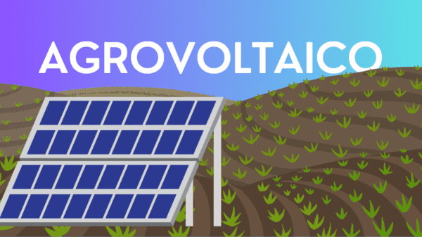 O que é o Agrovoltaico, a solução que está revolucionando o setor solar ...